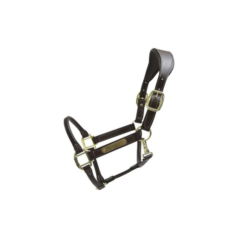 Halster Kentucky Anatomic Leather bruin